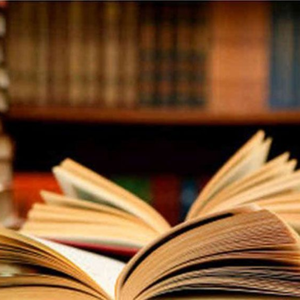 Fortismere - Working in Publishing